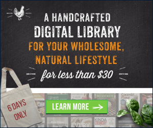 My New eCourse, The Healthy Living Bundle, & Special Bonuses from Me ...