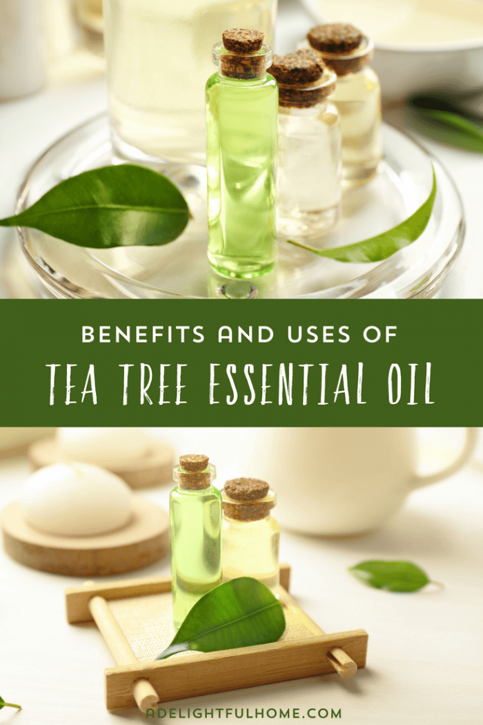 52 DIY Herbal Tea Recipes | A Delightful Home