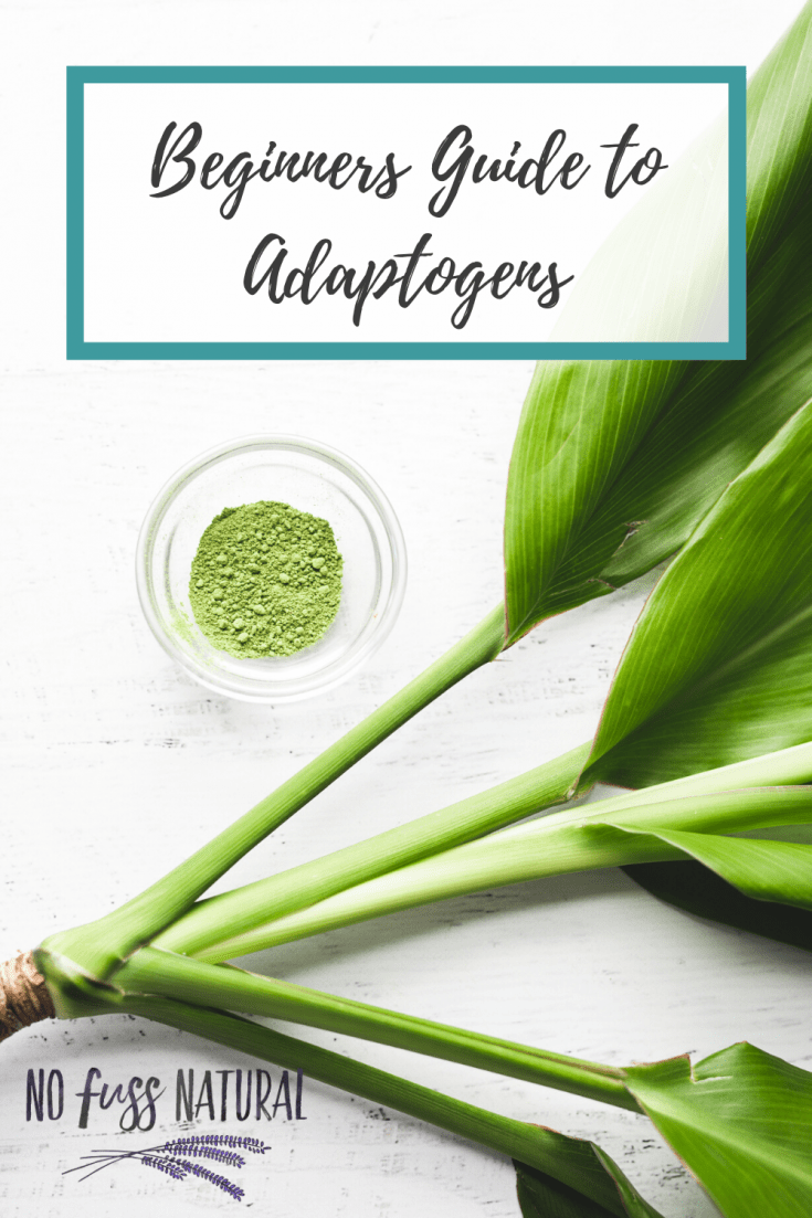 Beginner's Guide to Adapotogens - No Fuss Natural