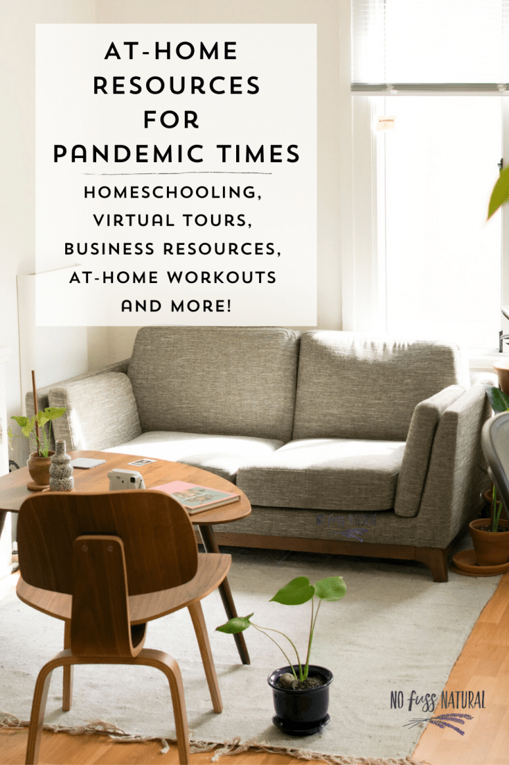 At-Home Resources for Pandemic Times! - No Fuss Natural